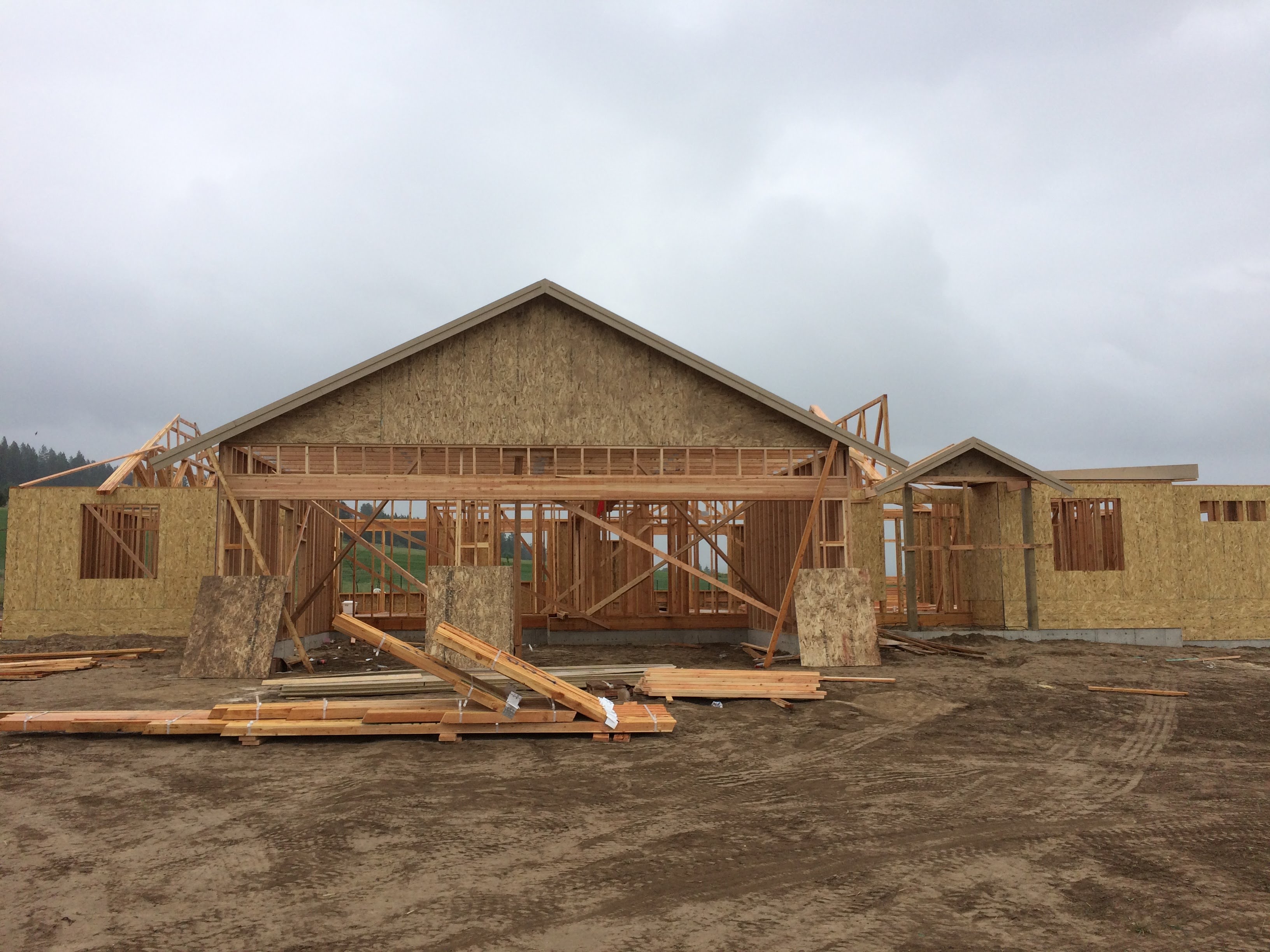 Blue Ladder Construction